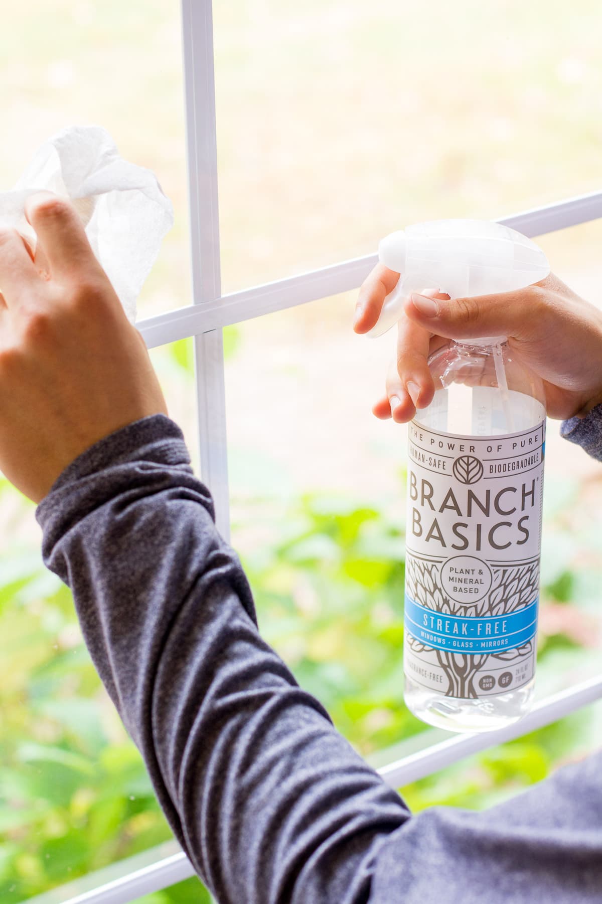 Honest Branch Basics Review 2025 | The Clean Eating Couple