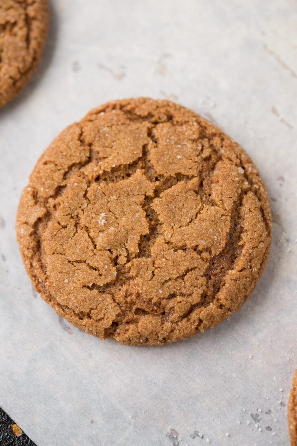 The BEST Crispy Gingersnap Cookies - The Clean Eating Couple