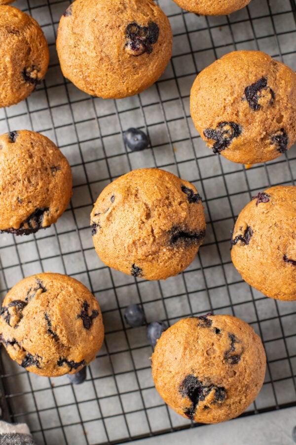 Healthy Blueberry Muffin Recipe - The Clean Eating Couple